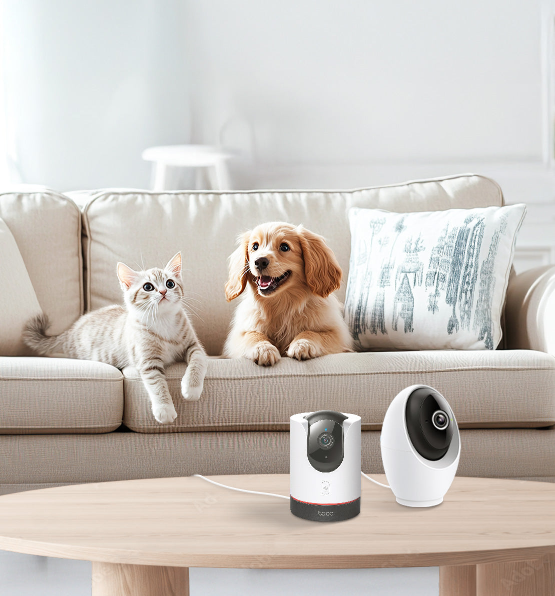Pet Cameras | Dog & Cat Cameras for Monitoring Pets | Tapo UK