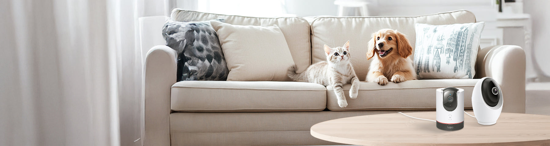 Pet Cameras | Dog & Cat Cameras for Monitoring Pets | Tapo UK